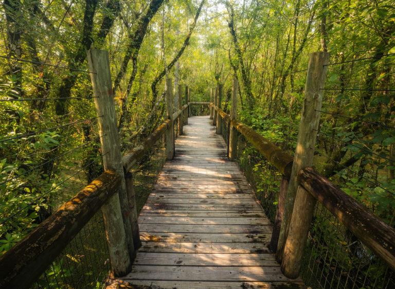 Seminole Tribe: Prosperity Out of the Florida Everglades - Florida ...