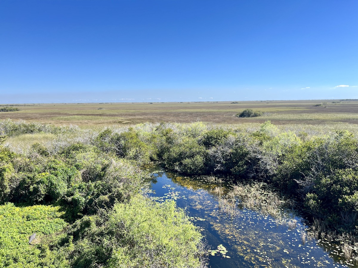 The Everglades by Land and Water - Florida Seminole Tourism