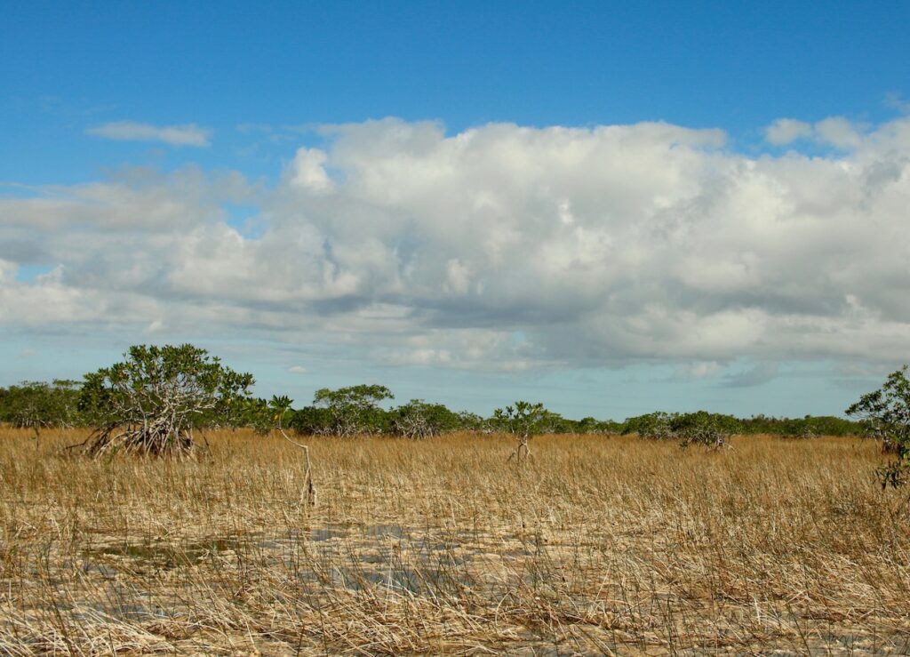 The Everglades by Land and Water - Florida Seminole Tourism