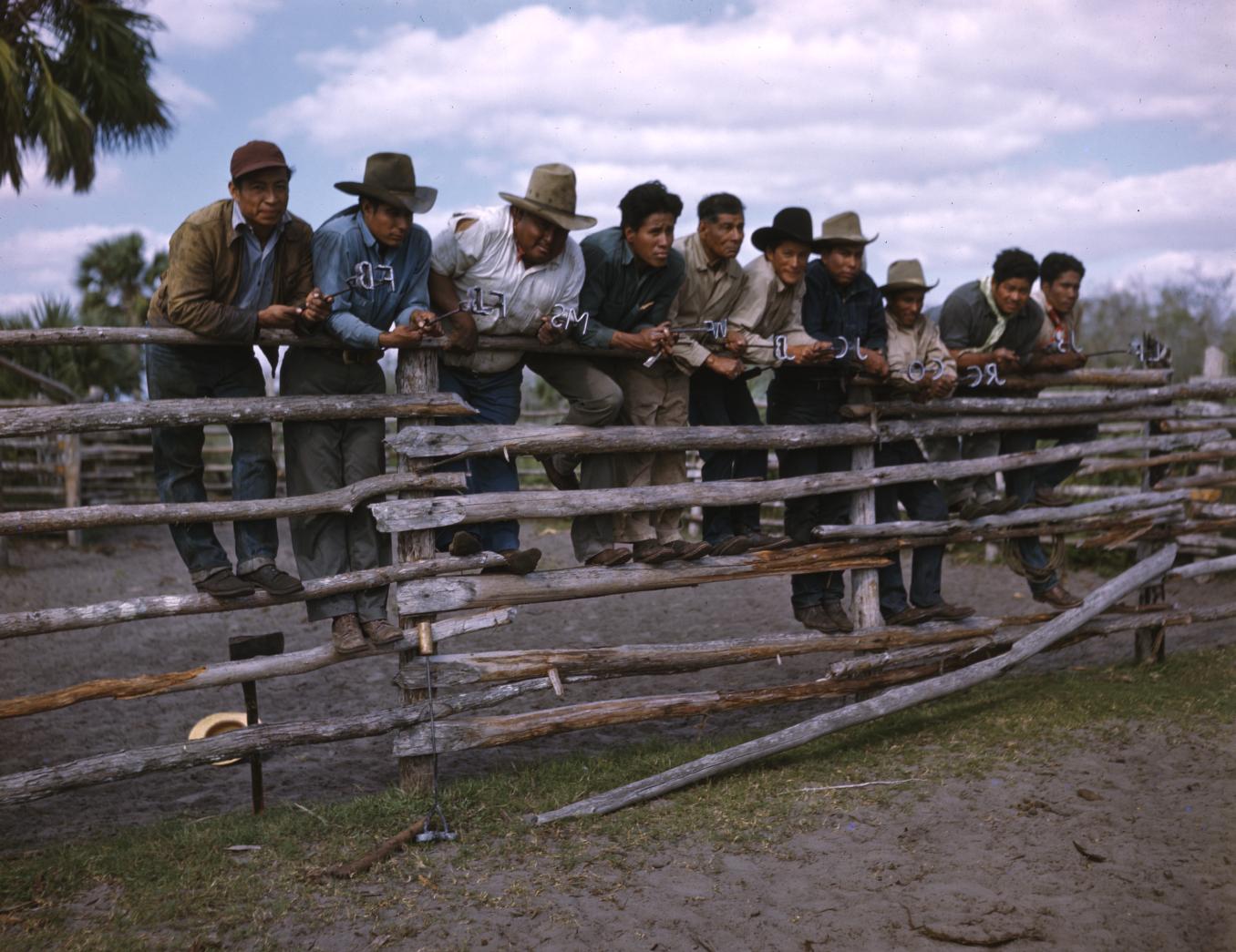 The Legacy of Red Barn and Seminole Cattle - Florida Seminole Tourism