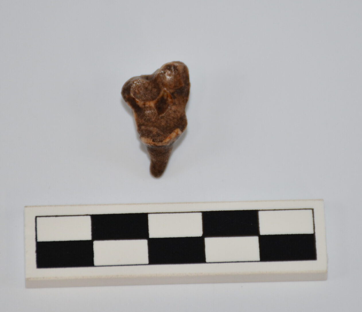 THPO Spotlight: Artifact of the Month - Florida Seminole Tourism