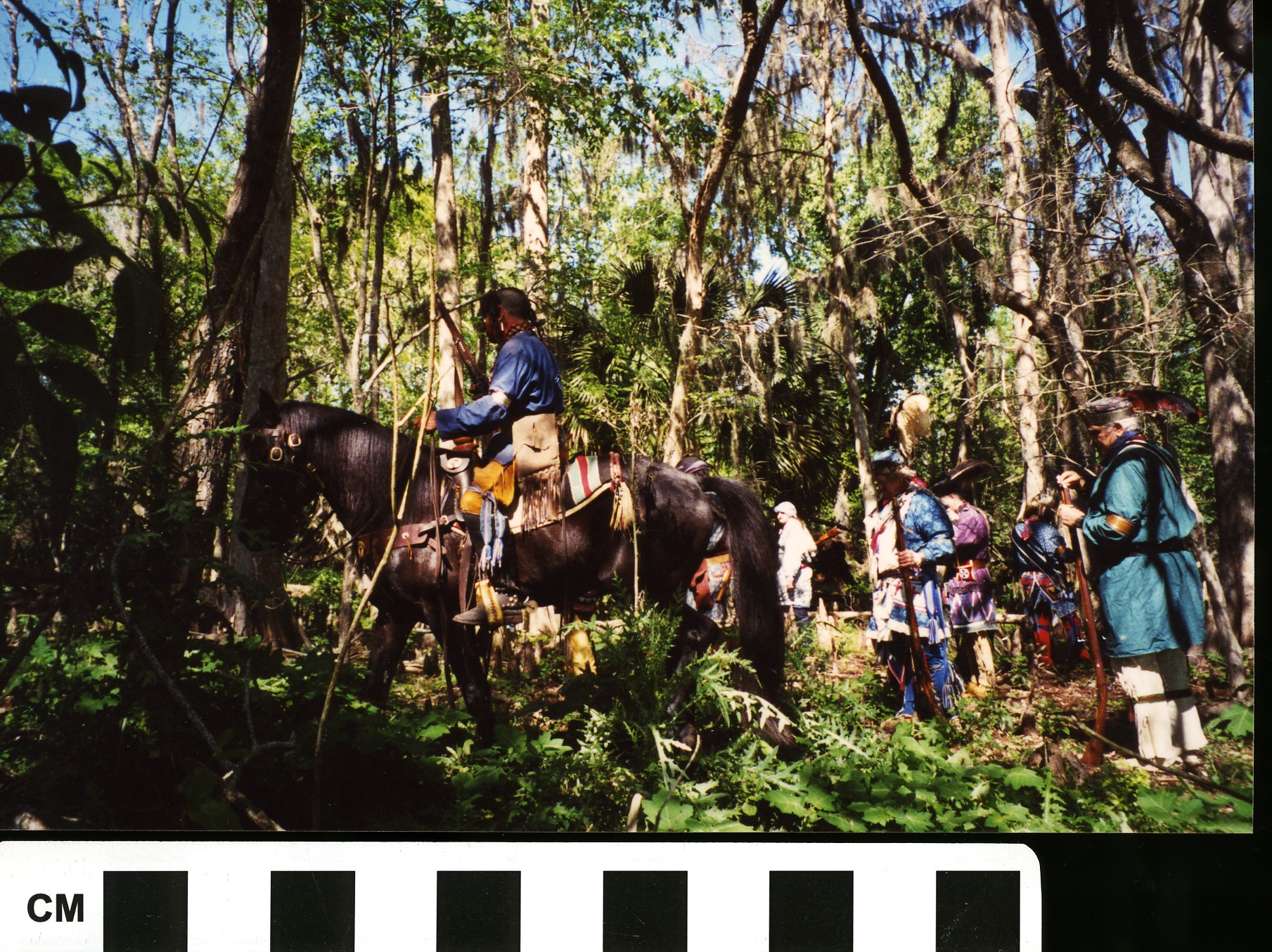 Christmas 1837: Seminole Survival and the Battle of Okeechobee ...