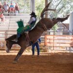Saddle Up for the Thrilling Brighton Field Day Festival & Rodeo ...