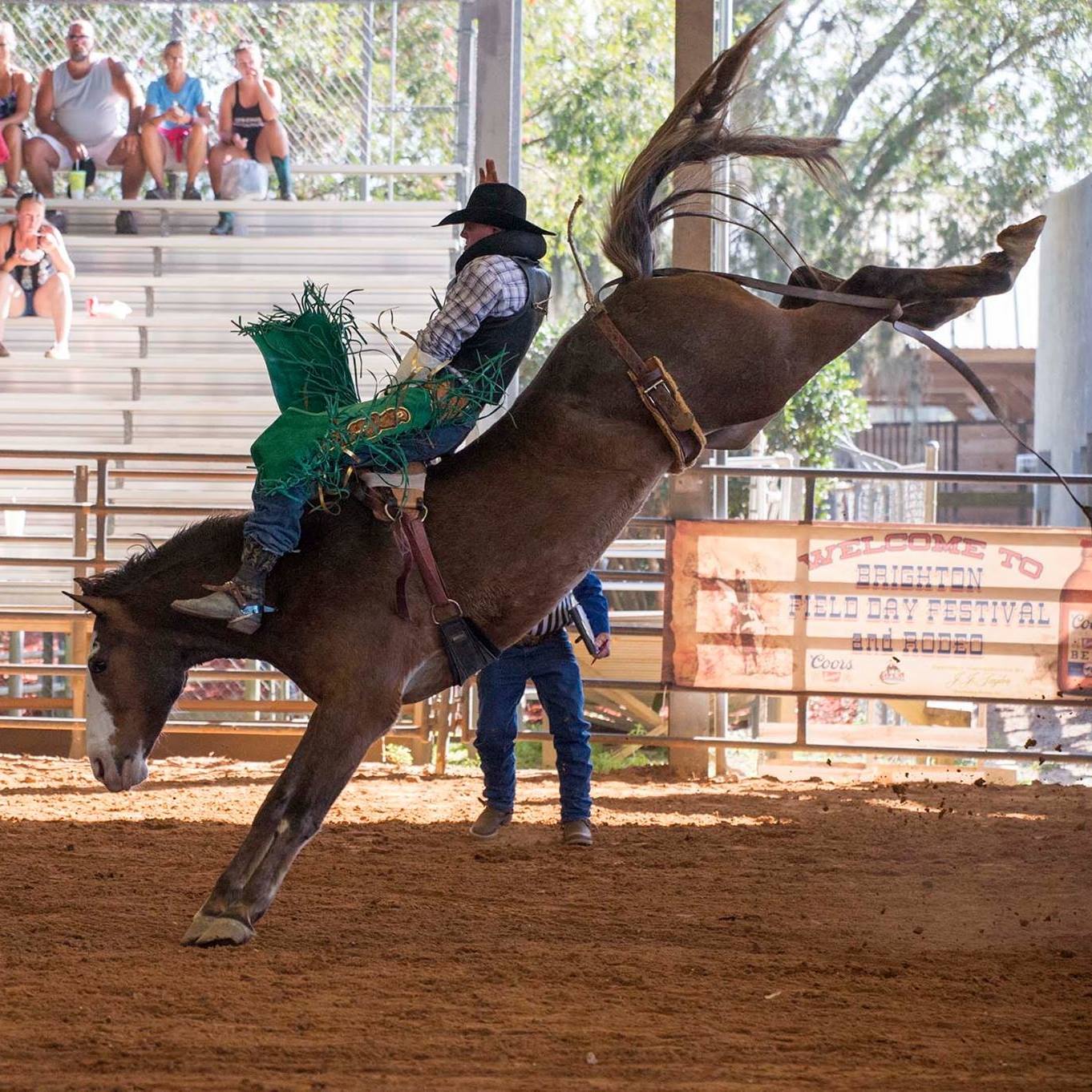 Saddle Up for the Thrilling Brighton Field Day Festival & Rodeo ...