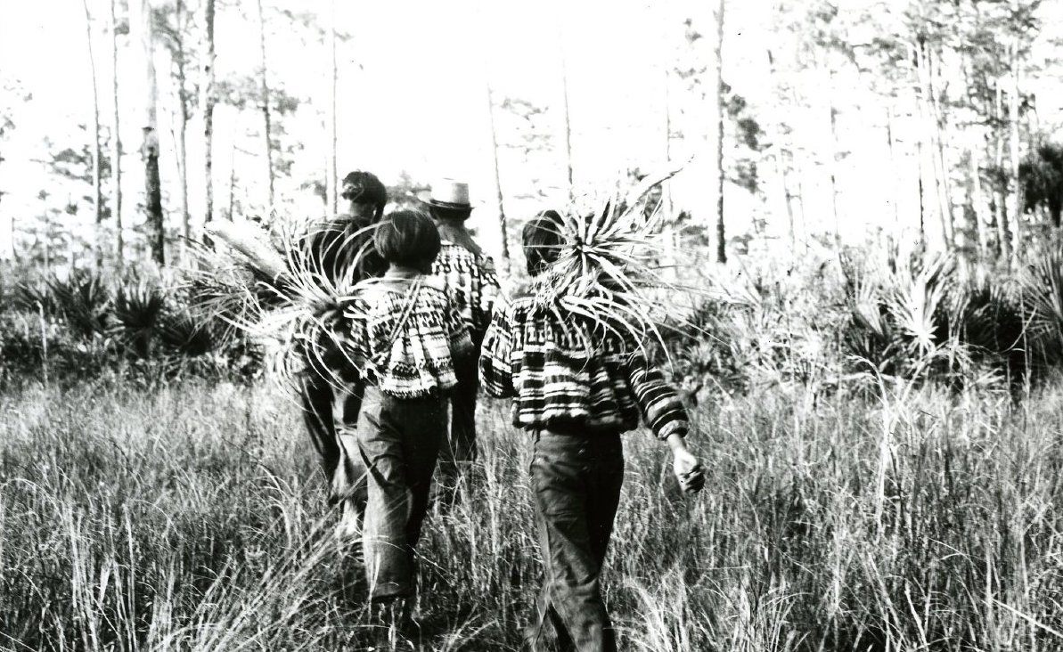 A New Reality: Seminole Perspectives on Florida’s Shifting Ecosystem ...
