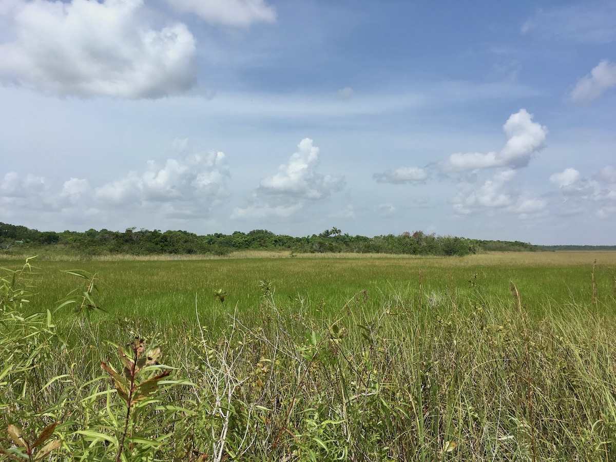 The ABC’s of Seminole History You Need to Know: Part 2 - Florida ...